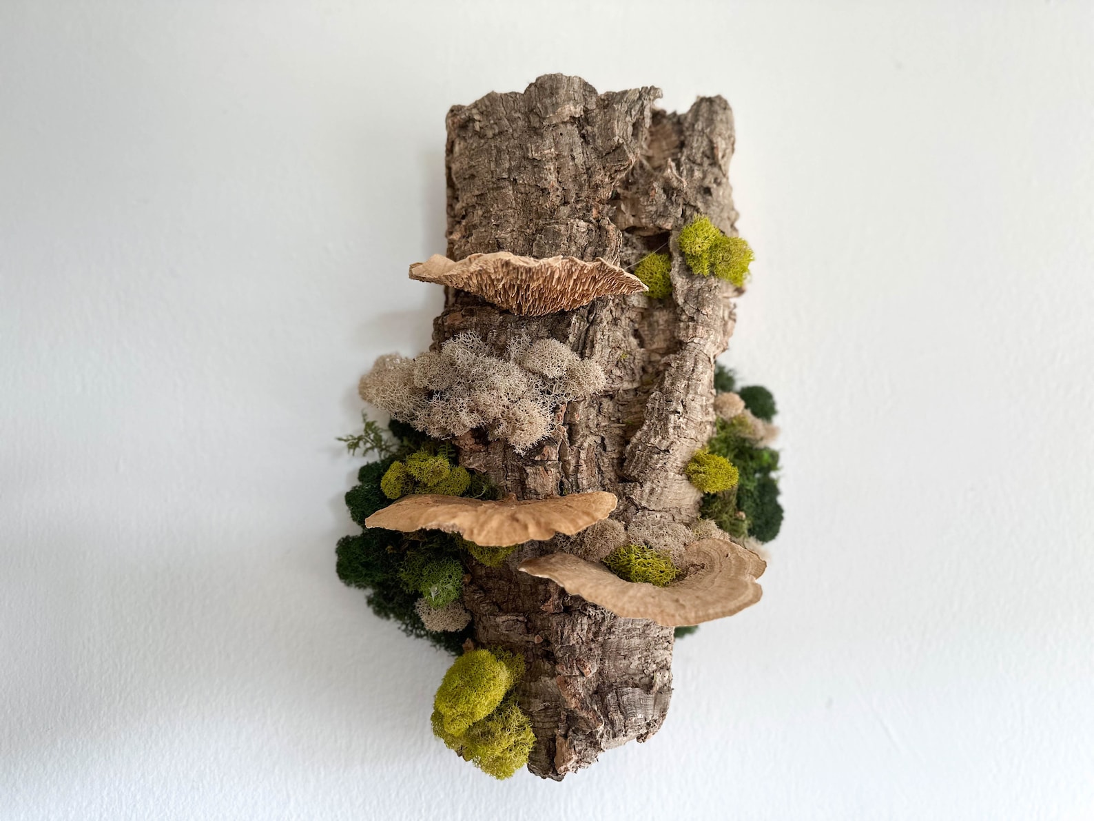 Floating Forest Art Gift, Moss on Cork Bark Natural Wall Decor ...