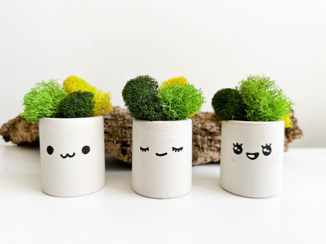 Cute Moss Holder, Desk Decor, Unique Planter, Kawaii Accessories, Small ...
