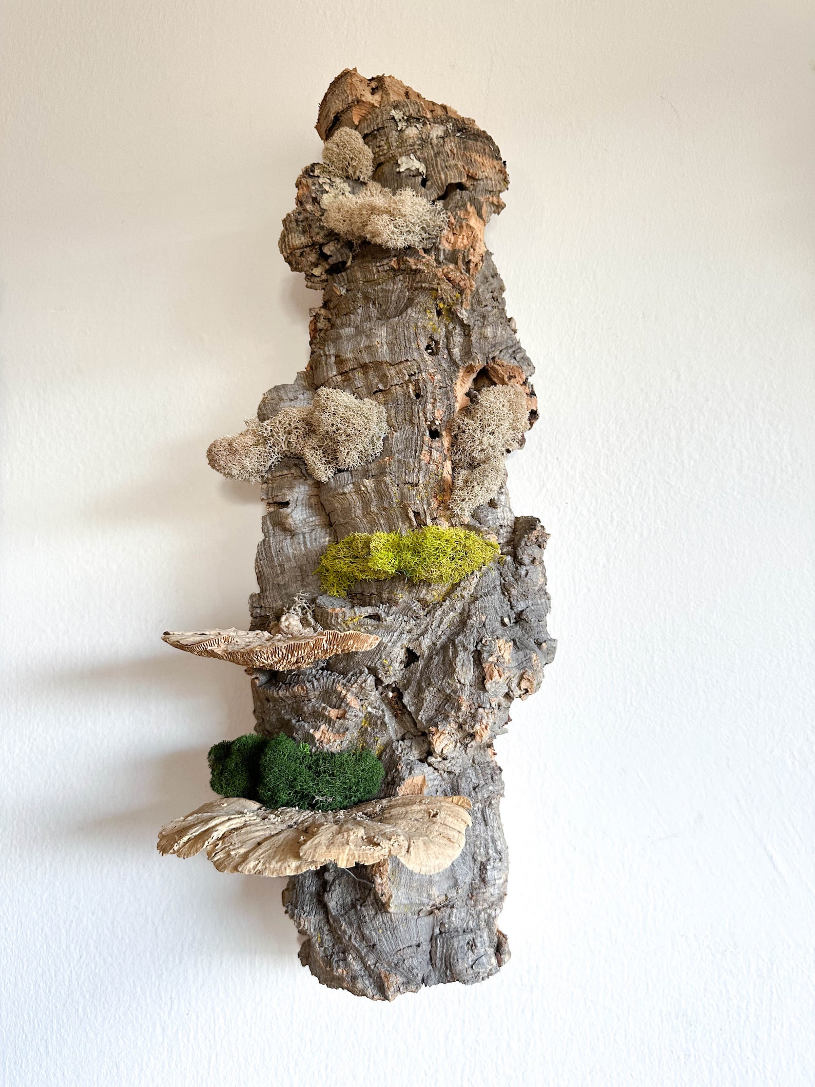 Floating Forest Art Gift, Moss on Cork Bark Natural Wall Decor ...