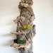 Floating Forest Art Gift, Moss on Cork Bark Natural Wall Decor ...