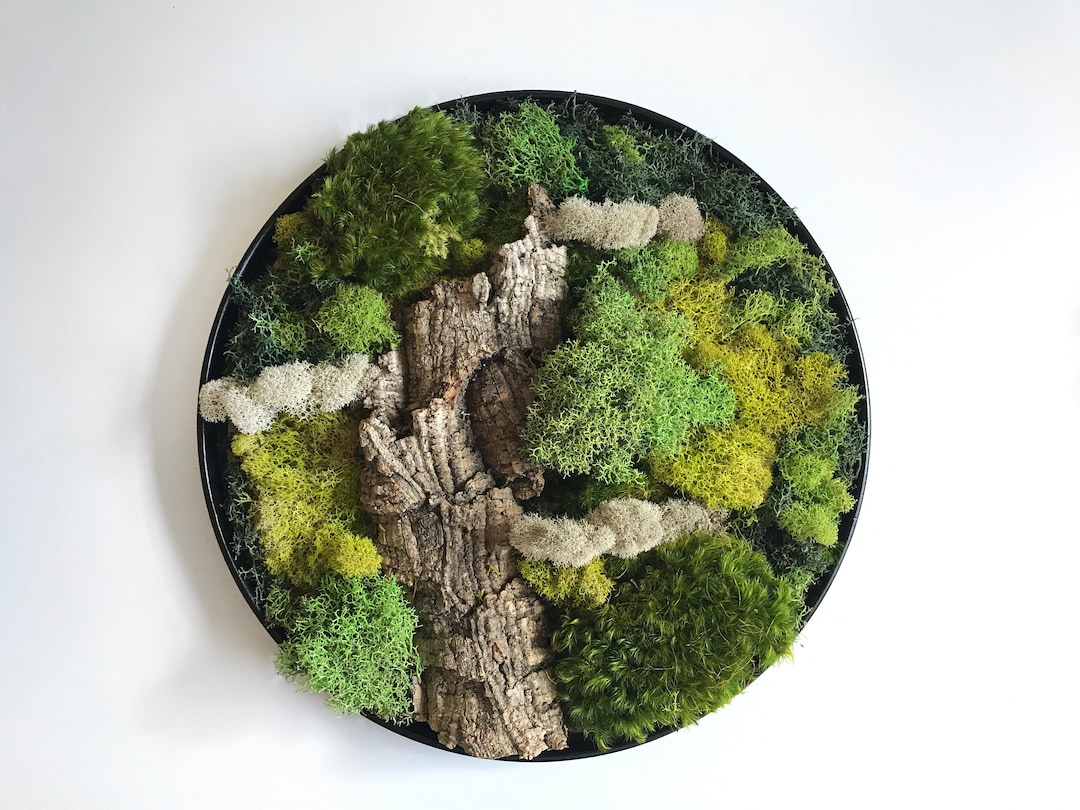 Round Moss Wall Art, Wall Hang Preserved Moss & Cork Bark, Vertical ...