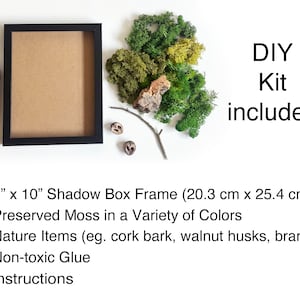 DIY Kit, Moss Wall Art, Nature Lover Gift, Preserved Moss Decor, Nature ...