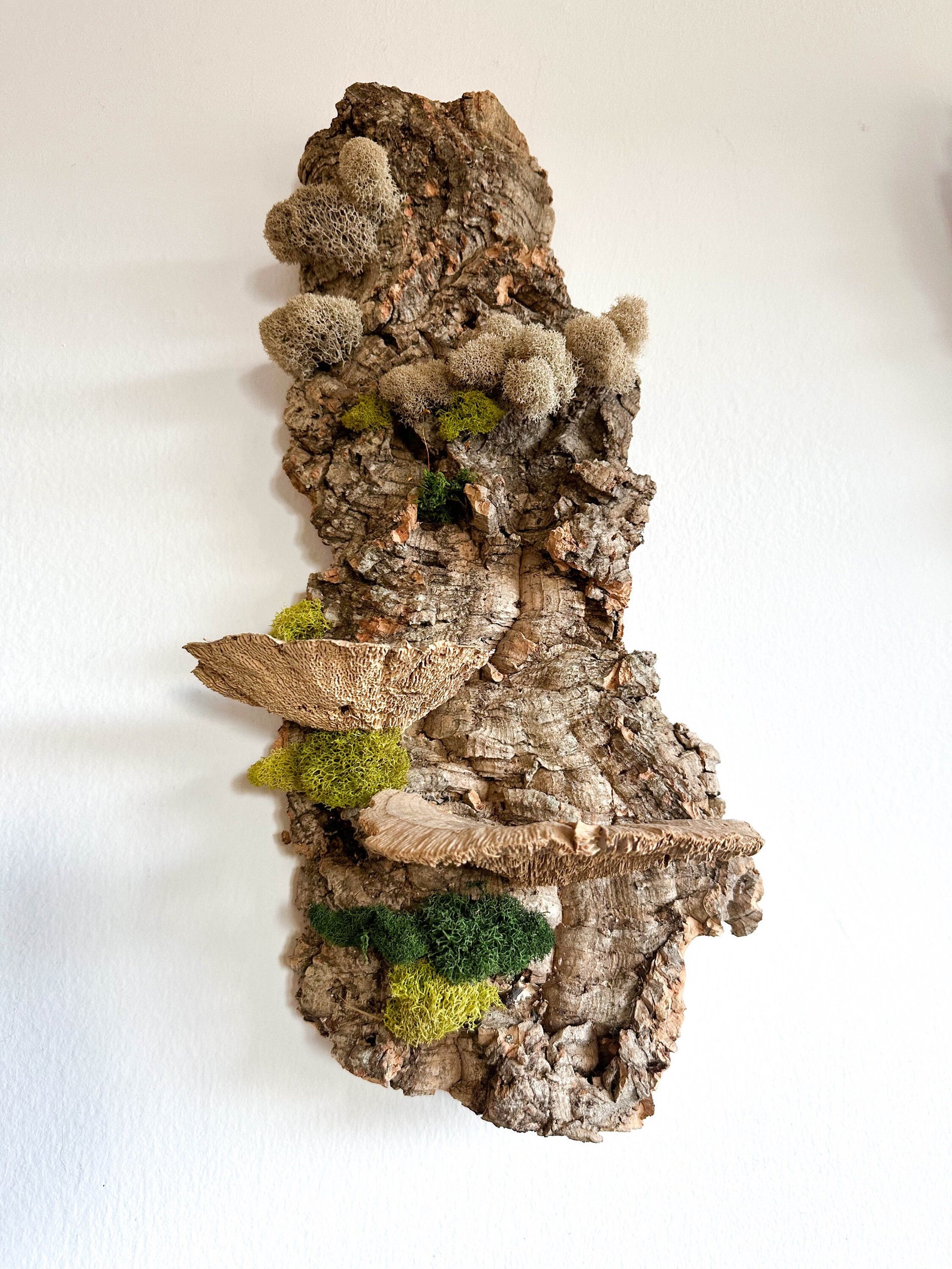 Floating Forest Art Gift, Moss on Cork Bark Natural Wall Decor ...