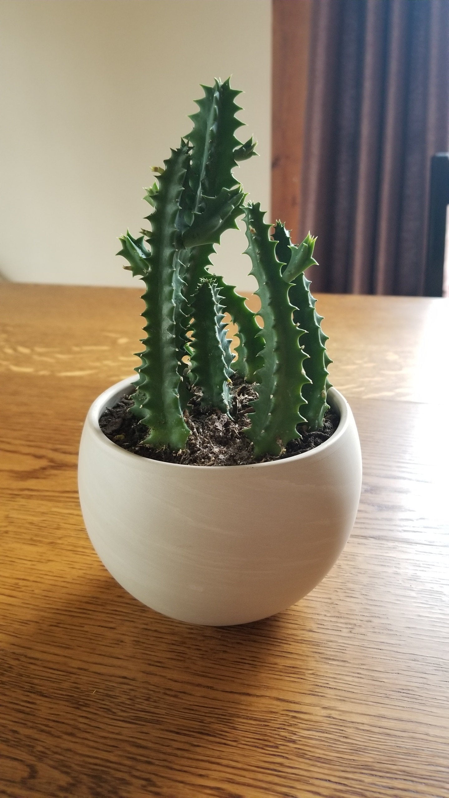 Ceramic Round Planter Pots for Plants Bowl Planter Indoor - Etsy