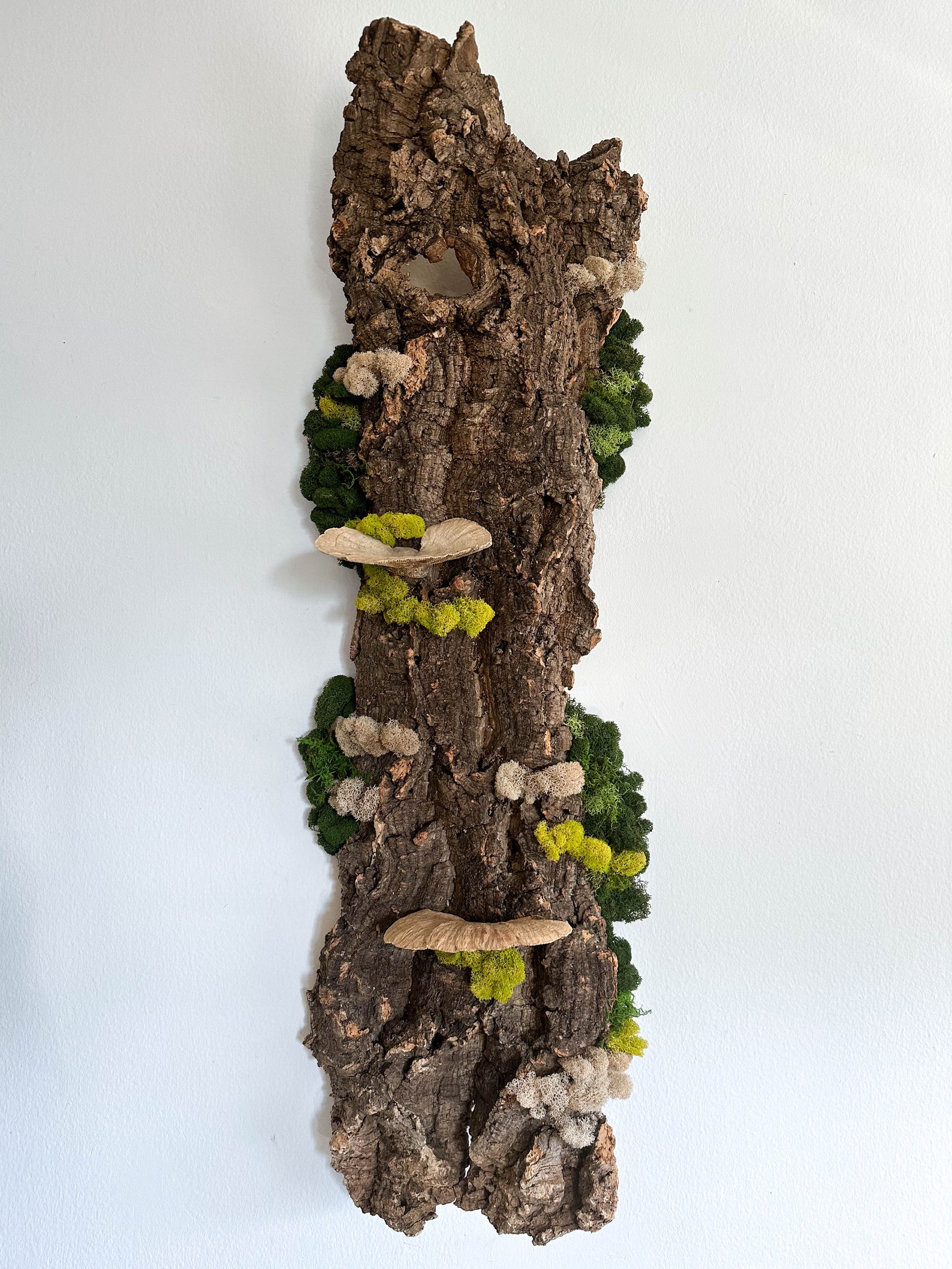 Floating Forest Art Gift, Moss on Cork Bark Natural Wall Decor ...