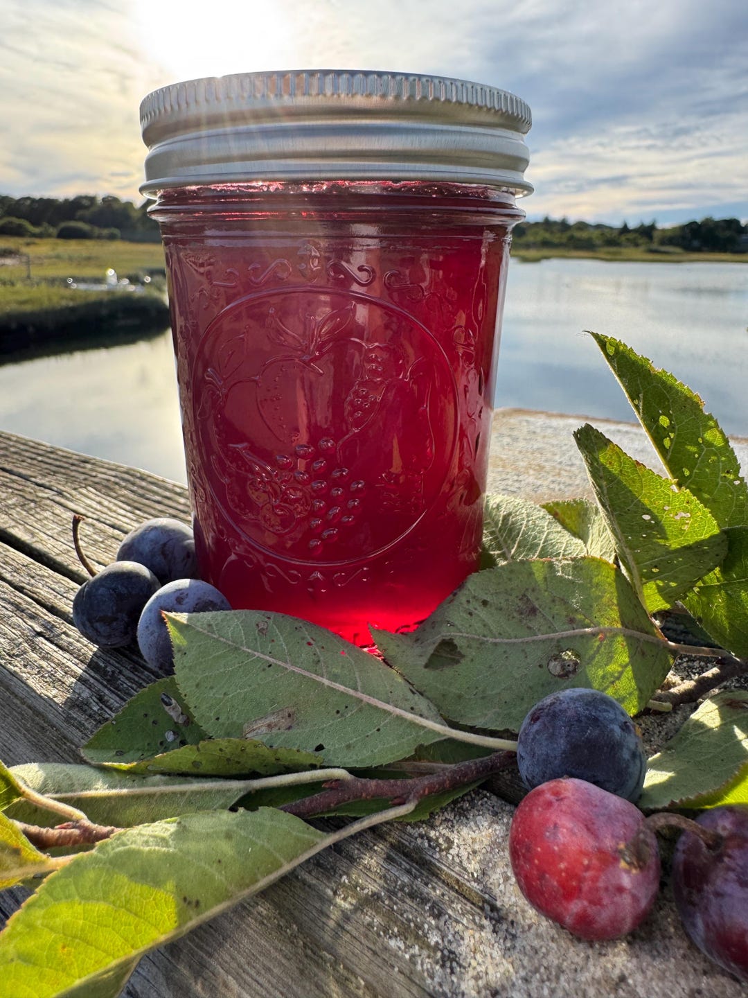Cape Cod Wild Beach Plum Jelly (8 Oz. Jar) - Etsy