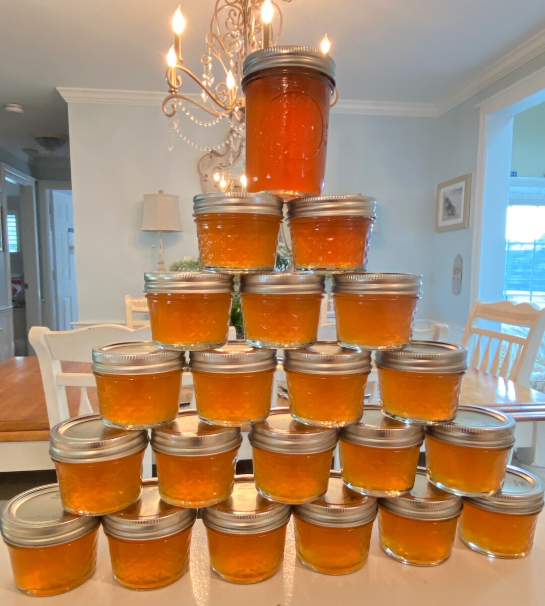 Cape Cod Wild Golden Yellow Beach Plum Jelly Late Season - Etsy