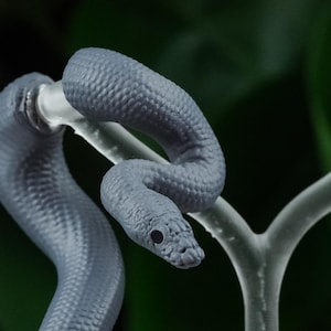 Unpainted Ball Python Earrings | 3D Printed | Paint It Yourself - Etsy