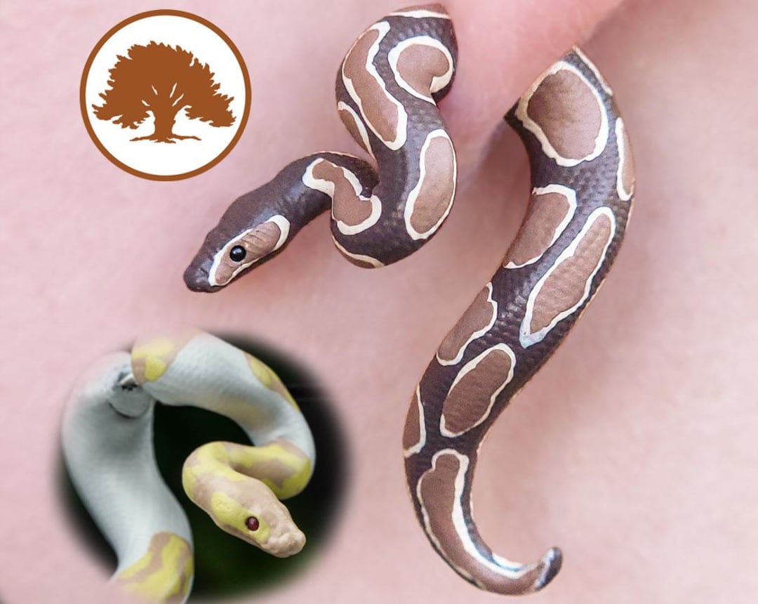 Hand Painted Ball Python Earrings | 3D Printed - Etsy