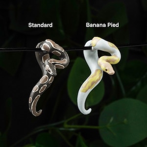 Hand Painted Ball Python Earrings | 3D Printed - Etsy