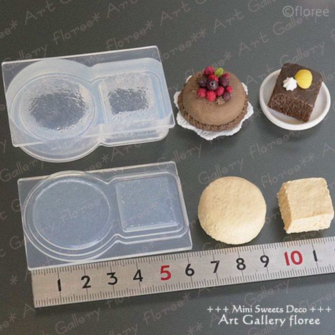 Silicone Mold Miniature Sponge Cake Mold in Round and Square (large ...