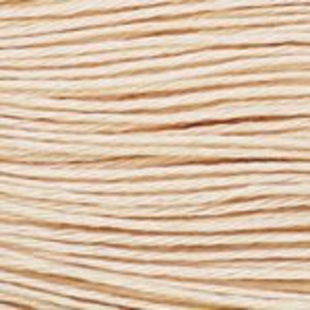 DMC Floche Embroidery Thread Colour 543 168 Yds 153.6 M - Etsy