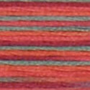 DMC Floss Colour Bundle RED: 25 Skeins of Various Shades of Red 6 ...