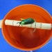 Ultimate Mouse Trap the Multi Log Rolling Mouse Trap - Etsy