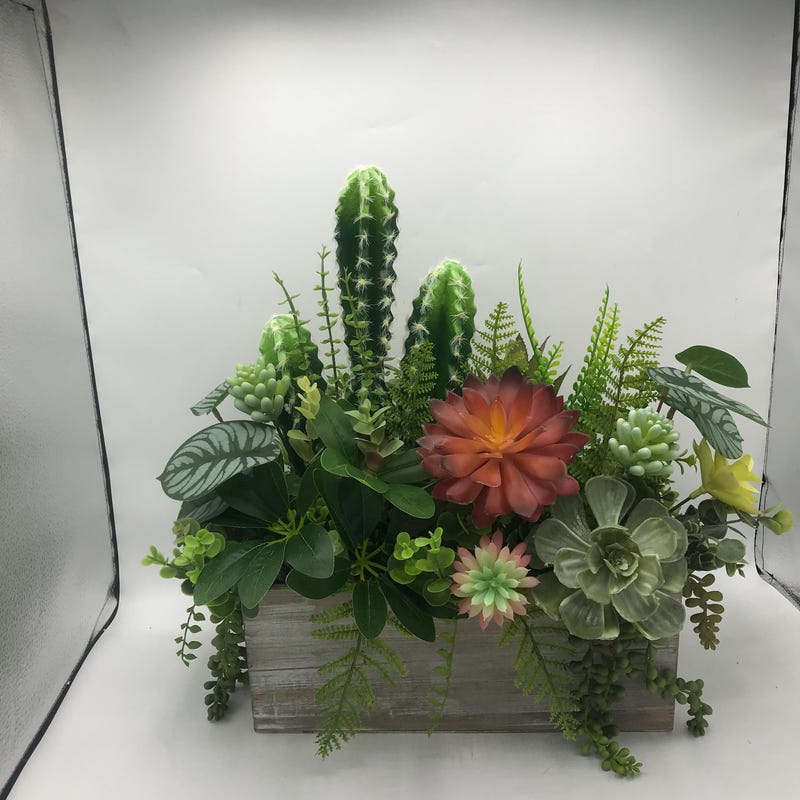 Cactus Arrangement - Etsy