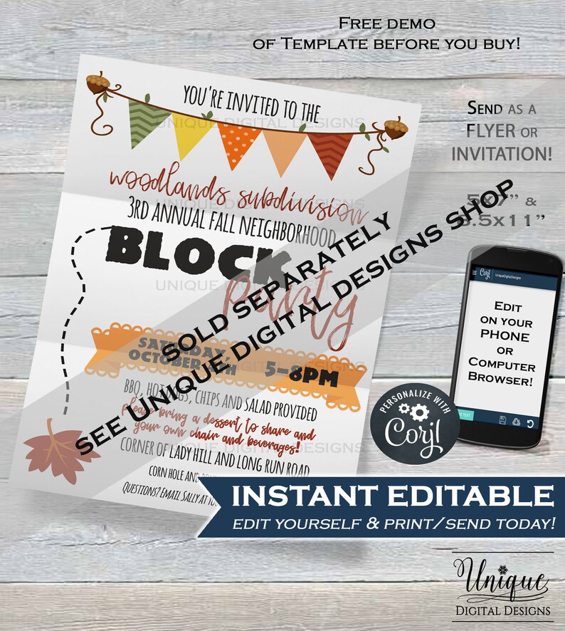 Summer Kick off Block Party Invitation, Editable Neighborhood Street ...