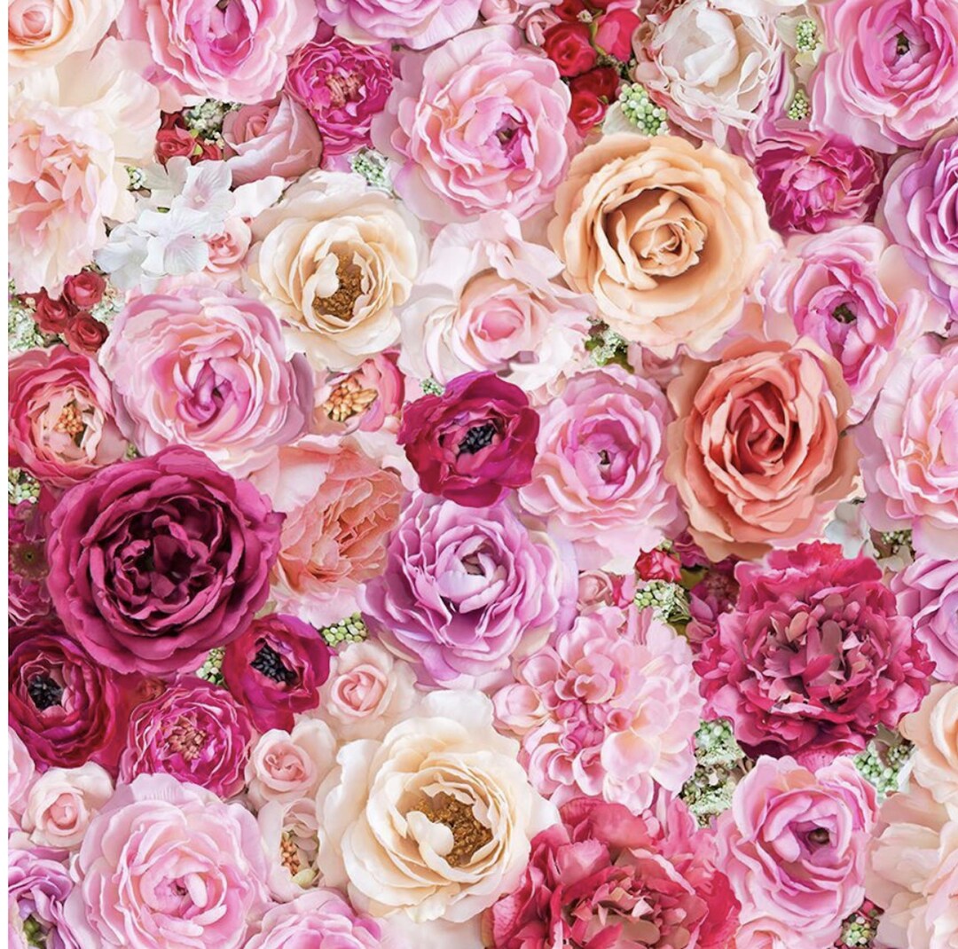 Packed Pink Roses - COTTON Fabric - Bellerose From Timeless Treasures ...