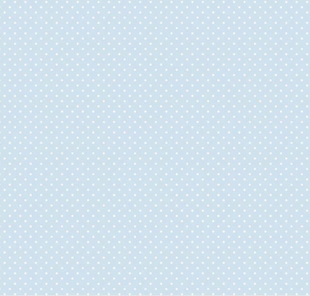 Baby Blue Swiss Dot Cotton Fabric - Riley Blake Designs - Etsy