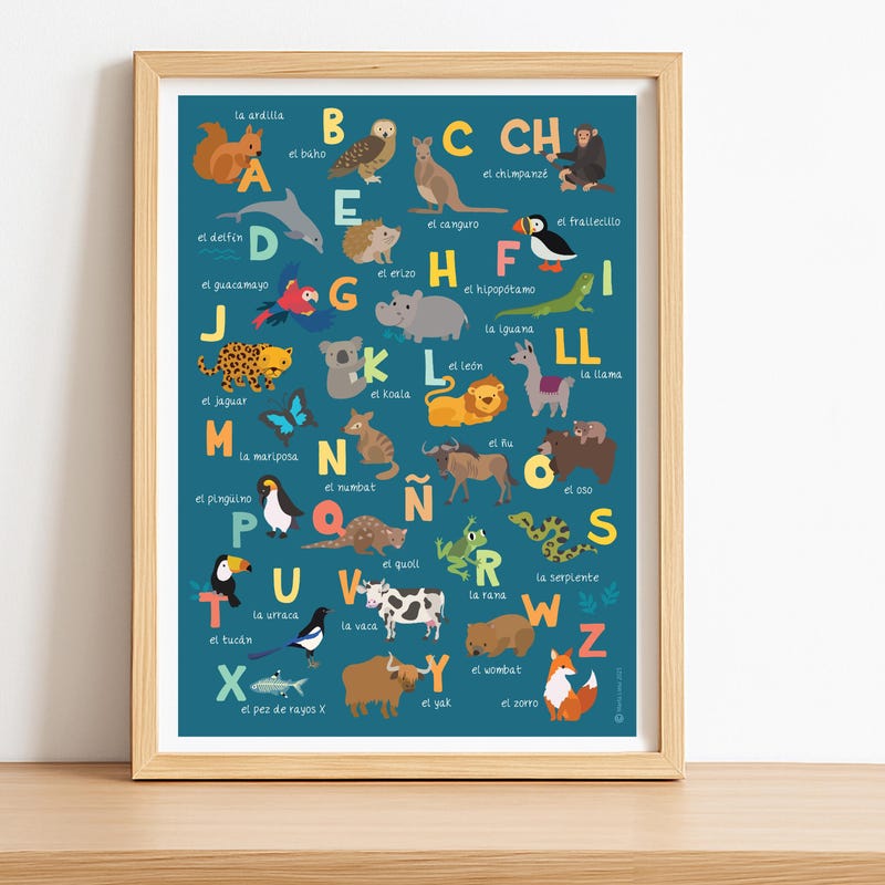 Spanish Alphabet Poster - Etsy