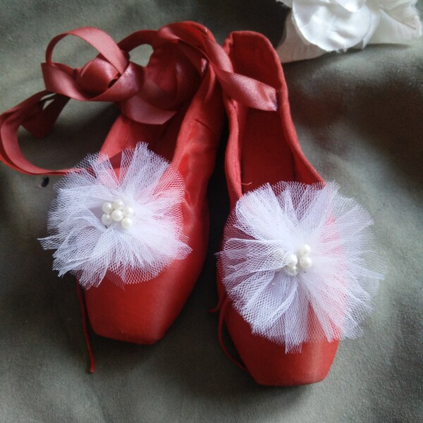 Ballet Pointe Shoes - Etsy