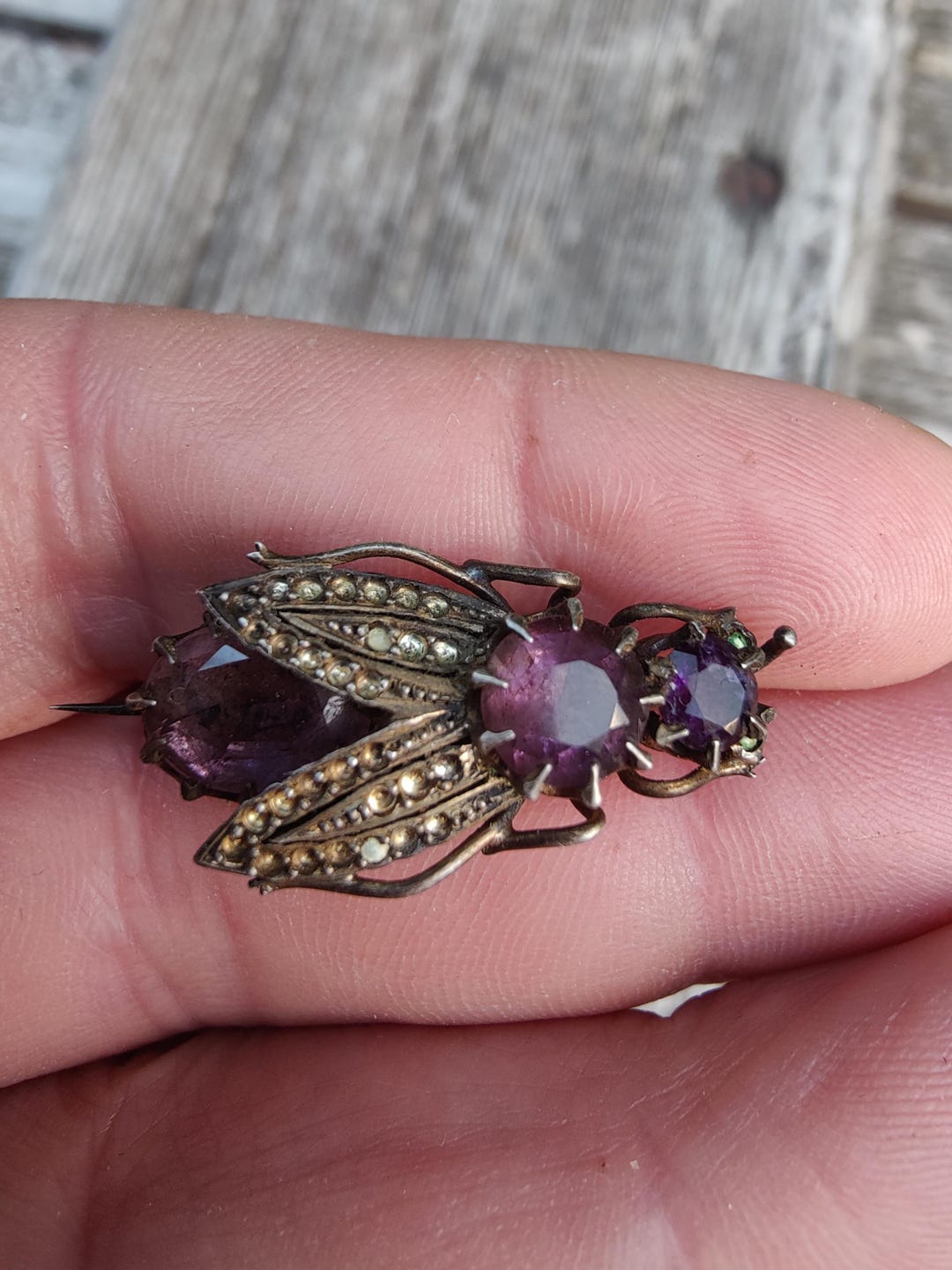 Victorian Bug Brooch, Fly Brooch, Heavily Distressed, for Repair, Found ...