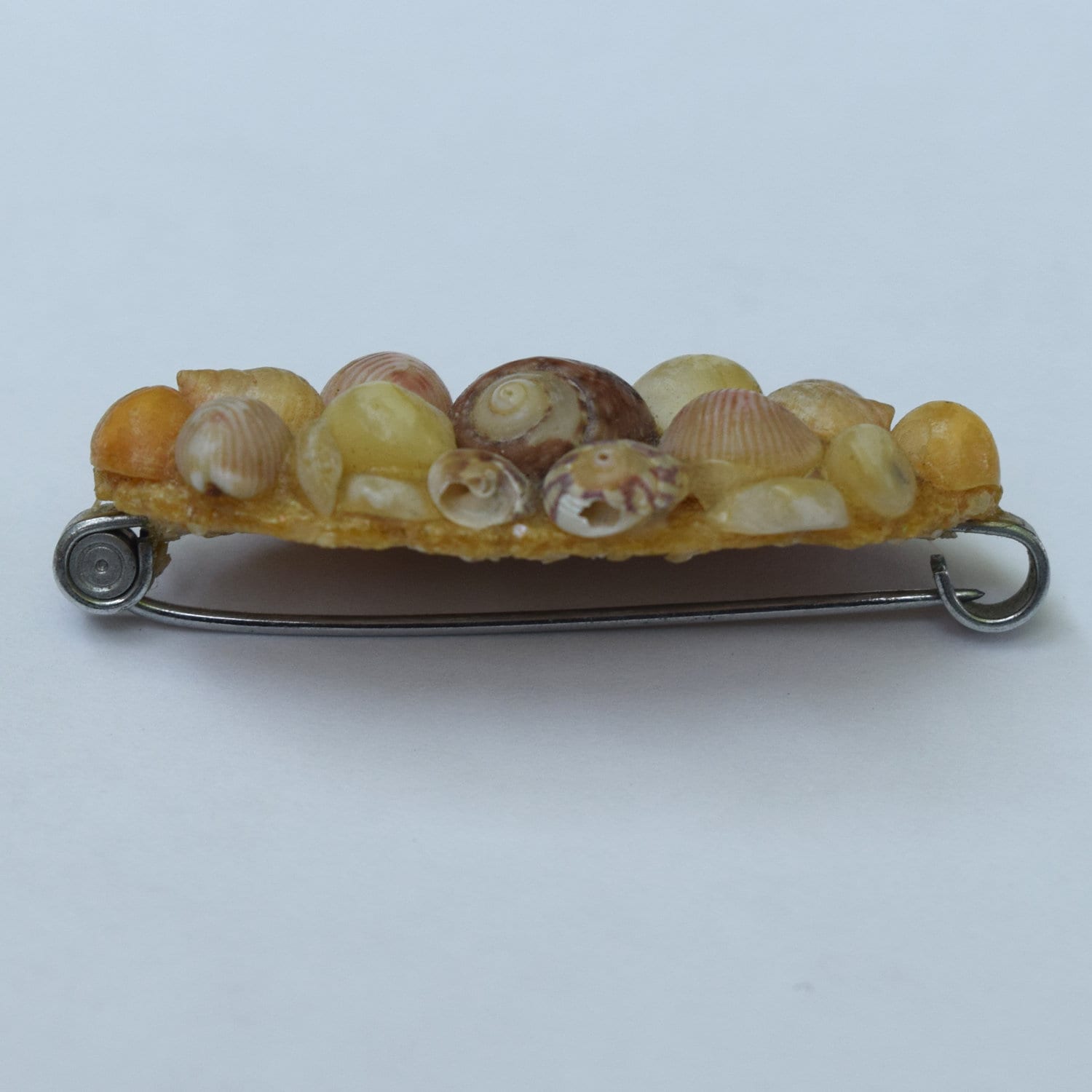Sea Shell Brooch - Etsy UK