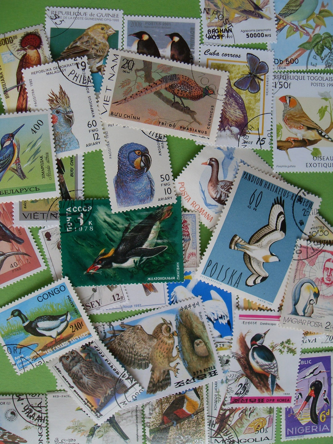 Bird Postage Used Stamp Pack Beautiful Stamps for Collecting or Craft ...
