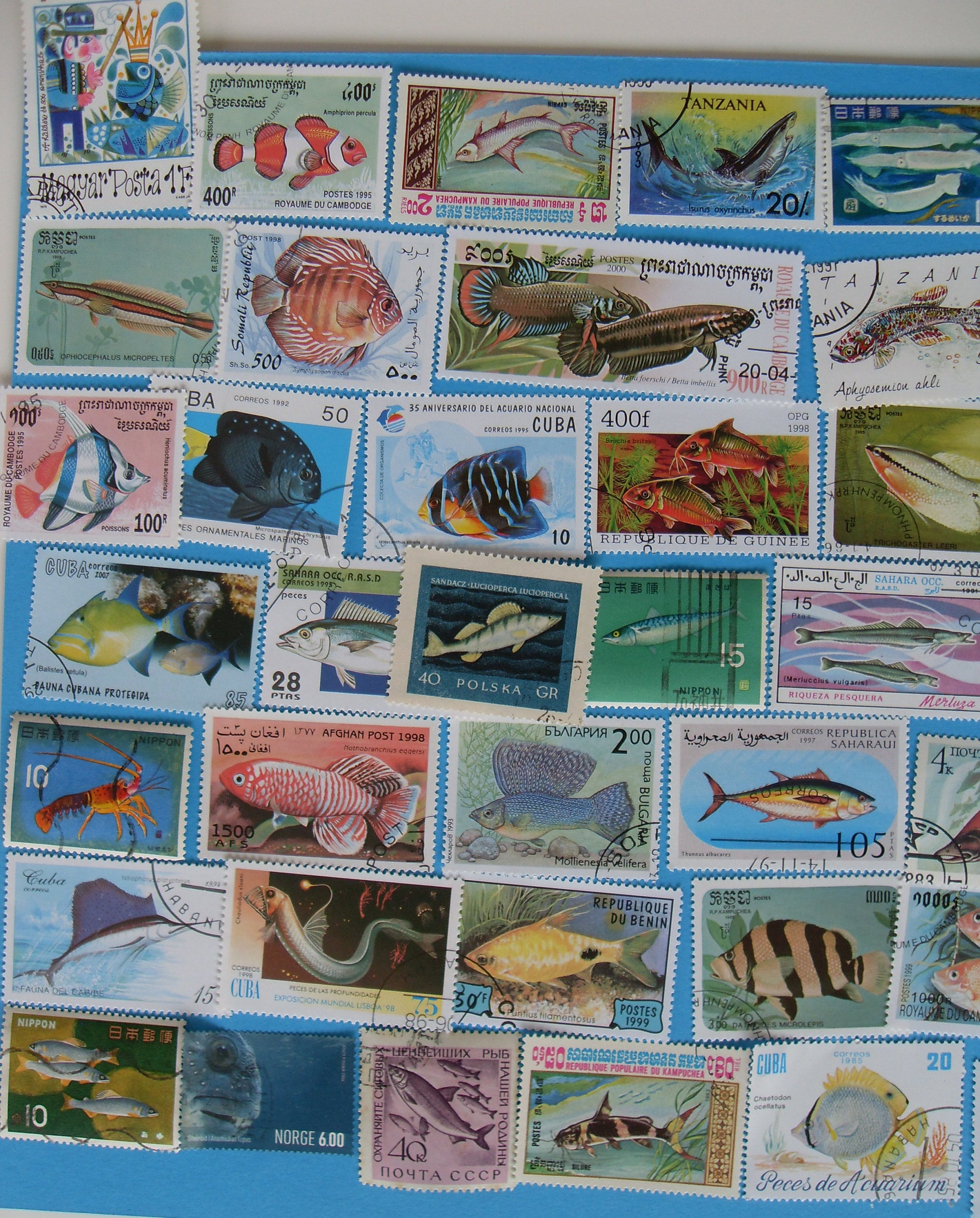 Fish Postage Stamp Pack Beautiful Stamps for Collecting or - Etsy