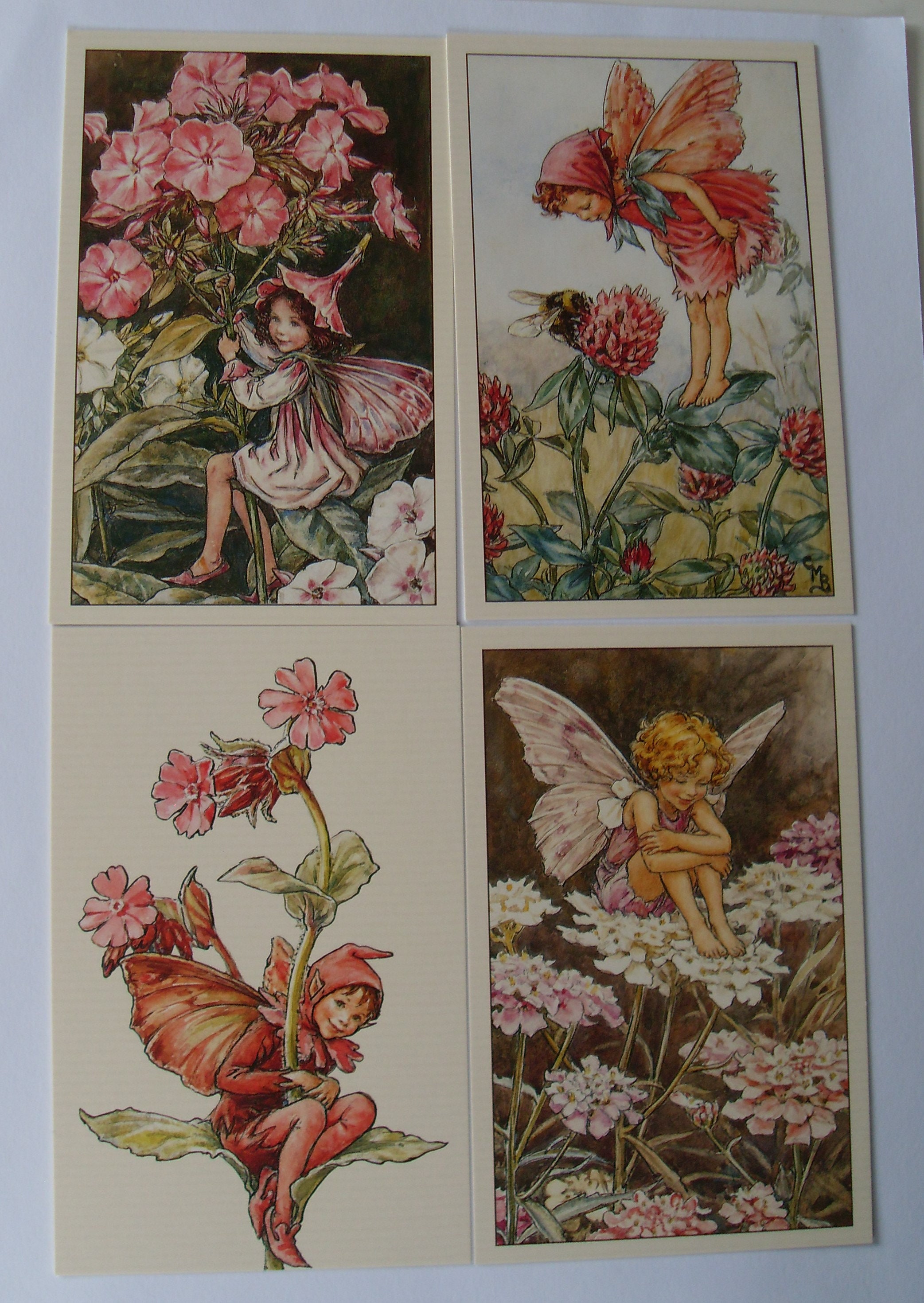 4 Flower Fairies Postcards Featuring Reproduction of the Botanical ...