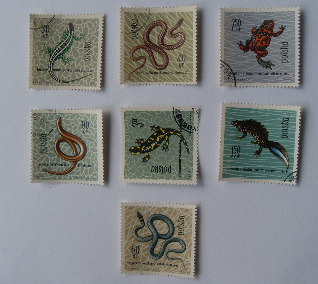 Snakes, Reptiles and Amphibians Used Postage Stamps Beautiful Stamps ...