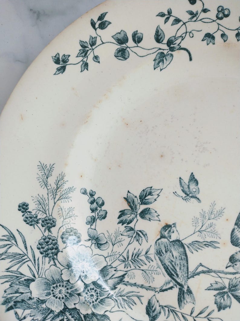 Antique French Longwy Mignon Ironstone Plate – Blue Birds & Floral ...