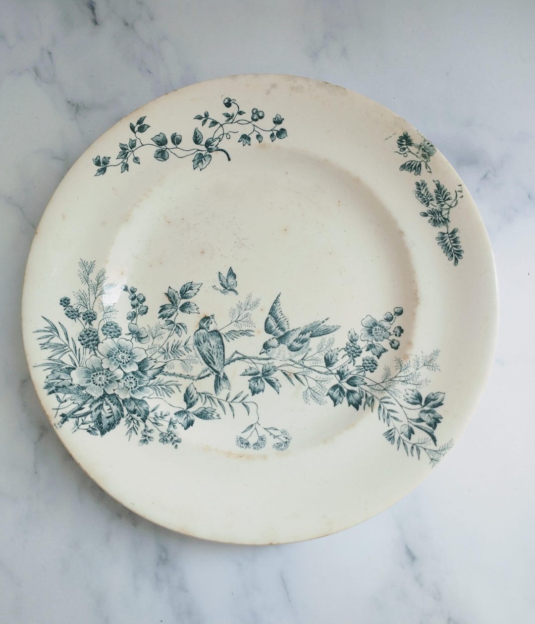 Antique French Longwy Mignon Ironstone Plate – Blue Birds & Floral ...