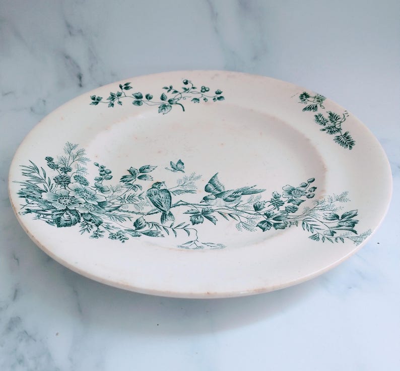 Antique French Longwy Mignon Ironstone Plate – Blue Birds & Floral ...