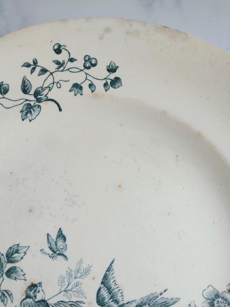 Antique French Longwy Mignon Ironstone Plate – Blue Birds & Floral ...