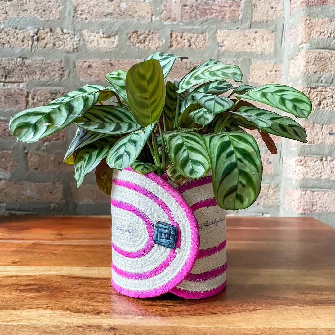 Rope Planter Wrap for 4.5 Pot Small Houseplant Pot - Etsy