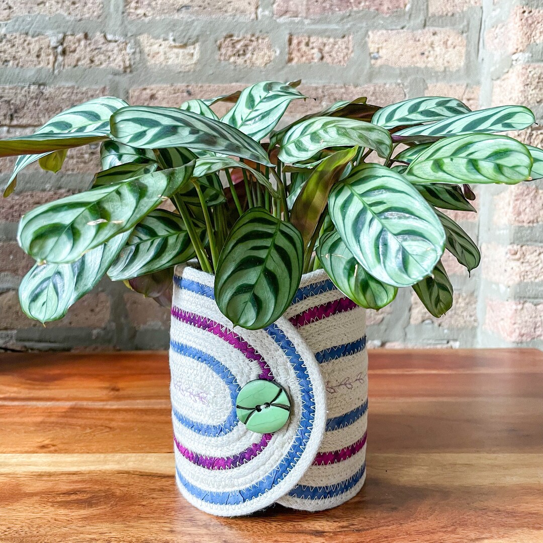Rope Planter Wrap, for 4.5 Pot Small Houseplant Pot Cover Blue, Purple ...