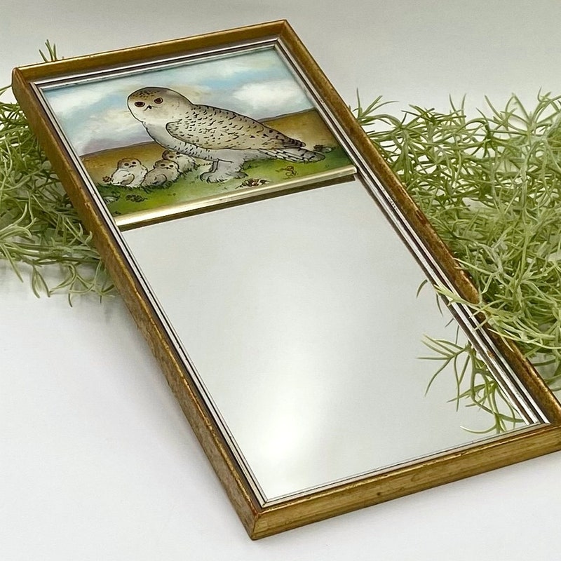 Owl Mirror - Etsy