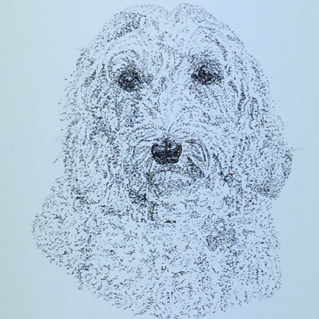 Cockapoo Picture, Headshot Original Artwork, Pen Drawing - Etsy UK