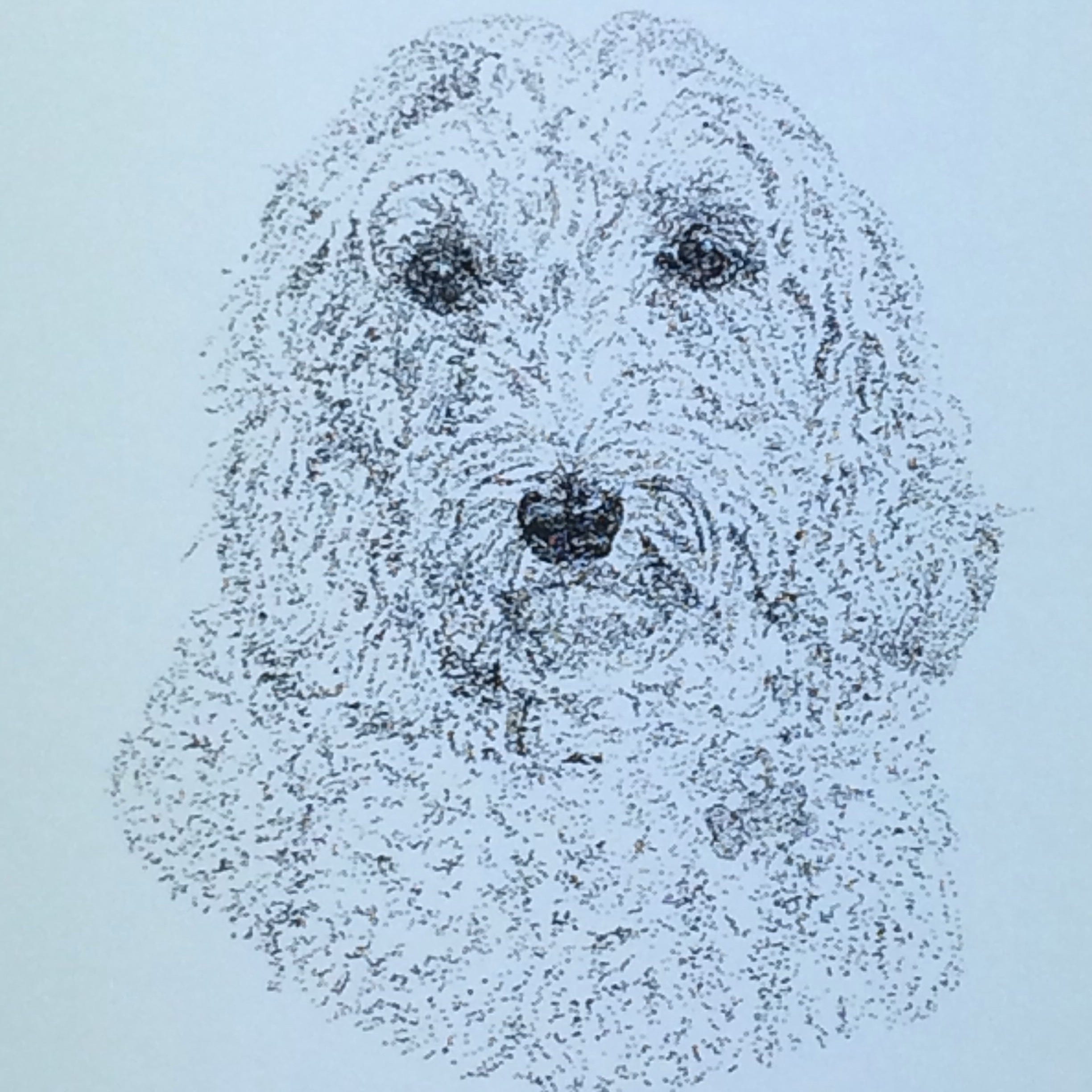 Cockapoo Picture, Headshot Original Artwork, Pen Drawing - Etsy UK