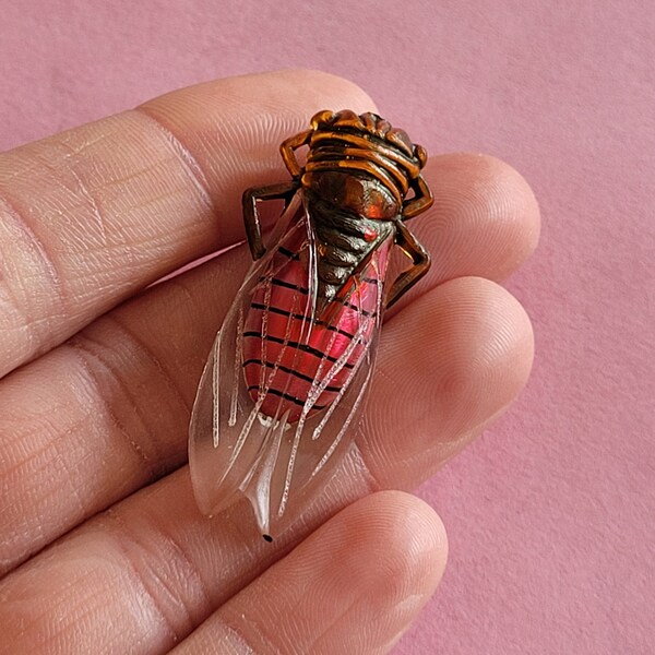 Beautiful Insect Art - Etsy