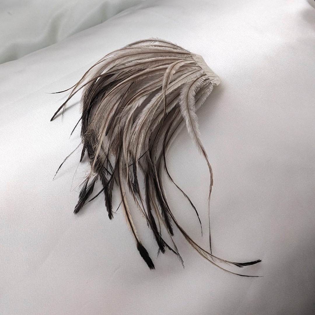 RARE - Emu Neck & Shoulder Feathers - Ethically Sourced, Cruelty Free ...