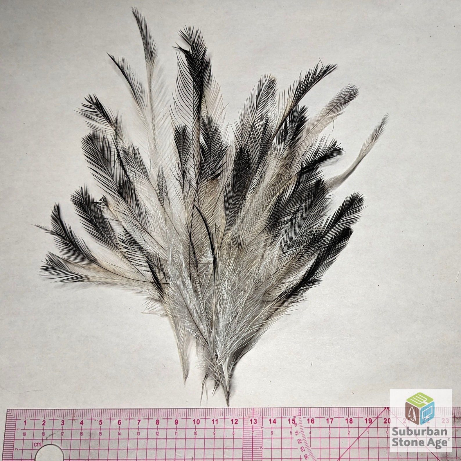 RARE - Emu WING Feathers - Ethically Sourced, Cruelty Free GUARANTEED ...