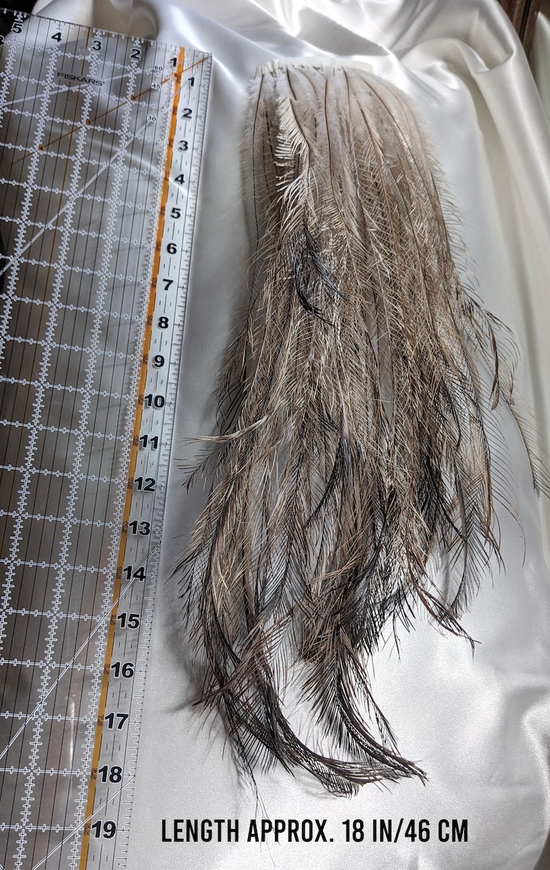 RARE Emu Tail Feathers - Ethically Sourced, Cruelty Free GUARANTEED - Etsy
