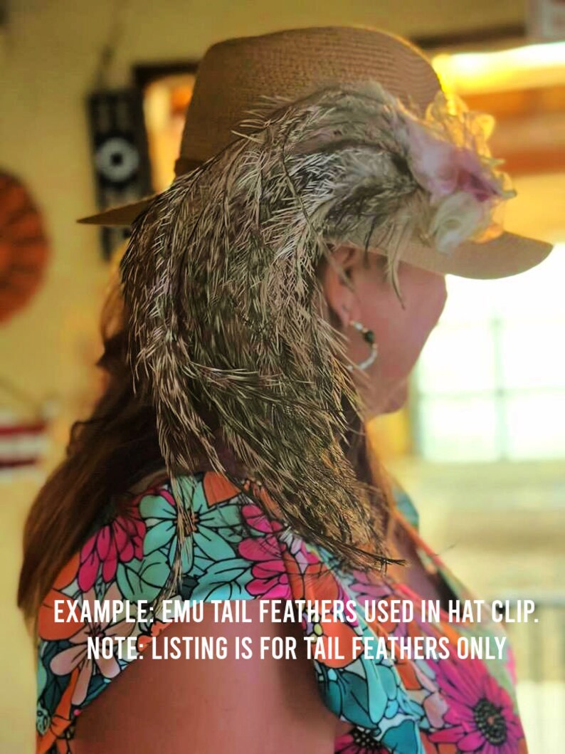 RARE Emu Tail Feathers - Ethically Sourced, Cruelty Free GUARANTEED - Etsy