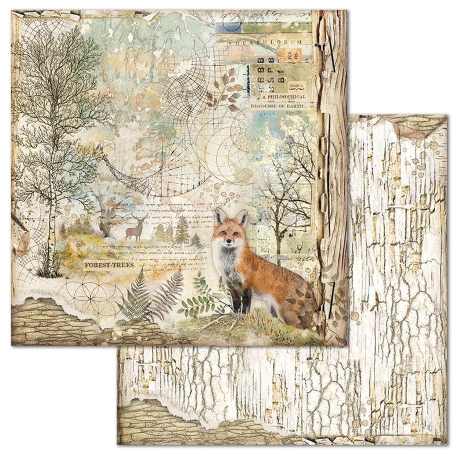 Stamperia Forest 12x12 Paper Pad Paper Kit Paper Collection - Etsy