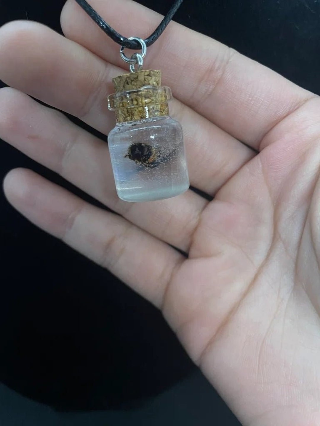 Honey Bee Vial Necklace, Glass Bottle Pendant, Beekeeper Jewelry Gift ...