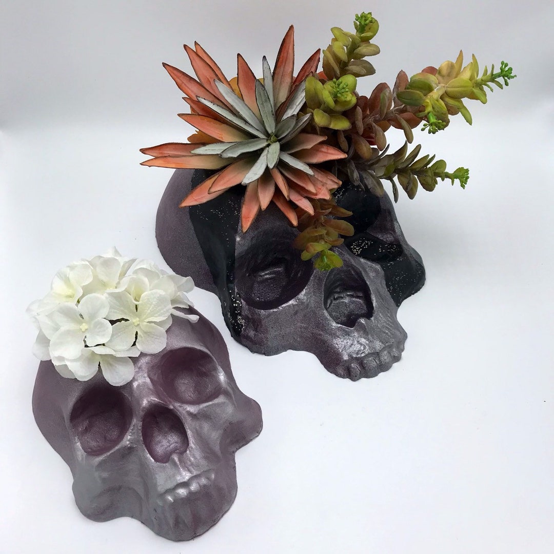Skull Planter Starter Set 4pc - Etsy