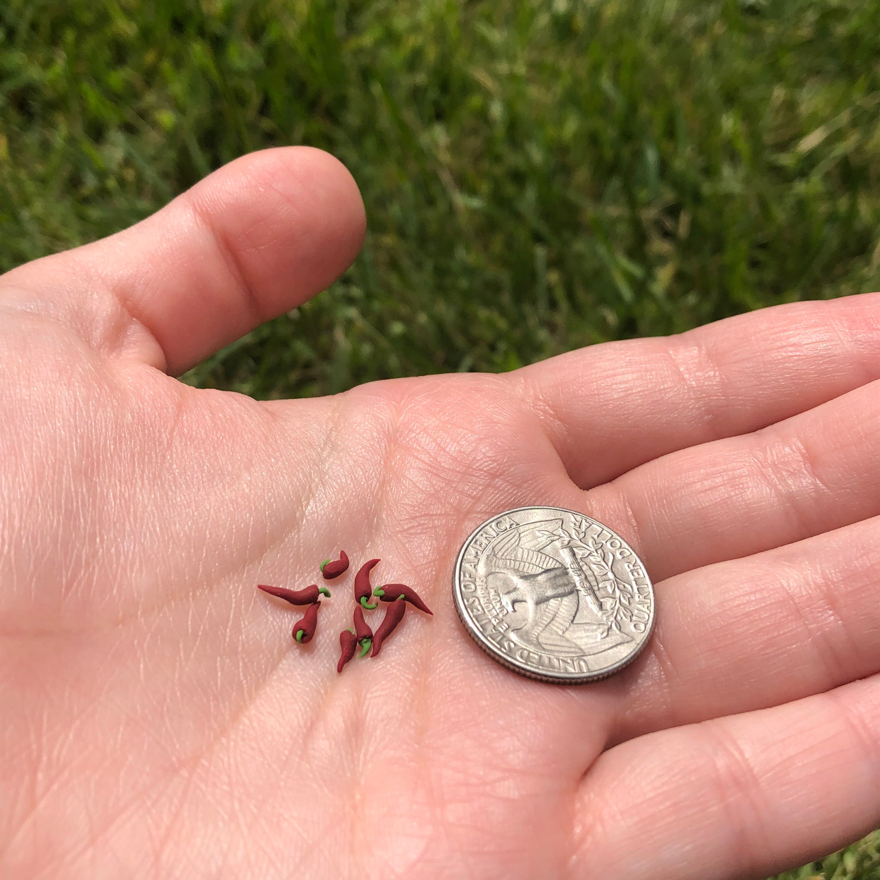 Miniature Chili Peppers for Fairy Garden or Doll House | Etsy