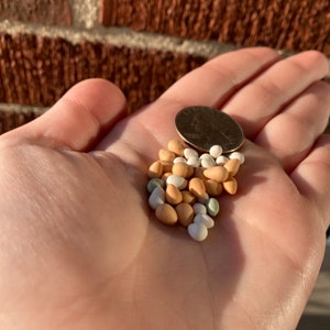 Doll House Miniature Eggs, Tiny Mixed Color Eggs, Fairy Garden Spring ...