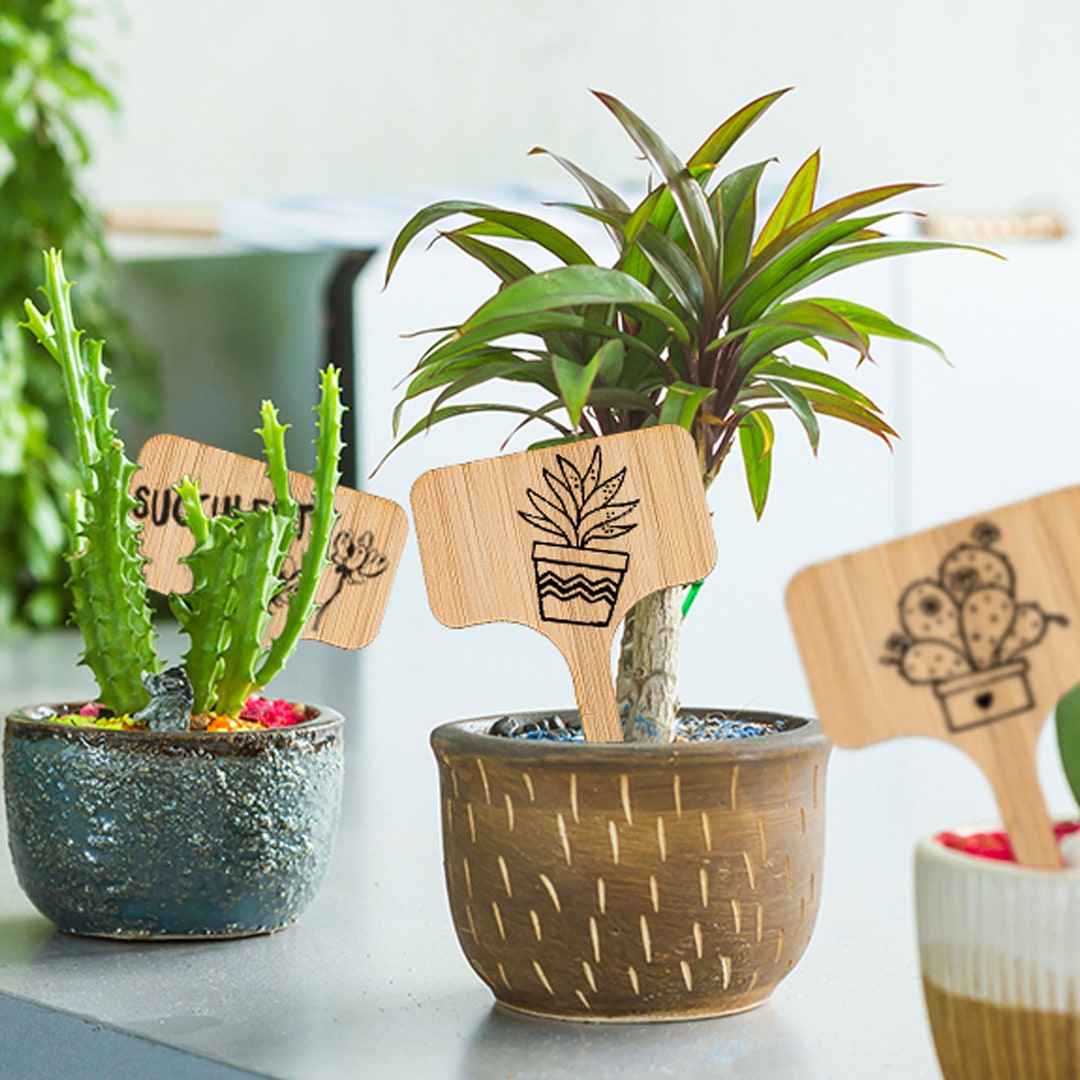 20 Pc Bamboo Plant Label With Marker Penplant Markersblank - Etsy